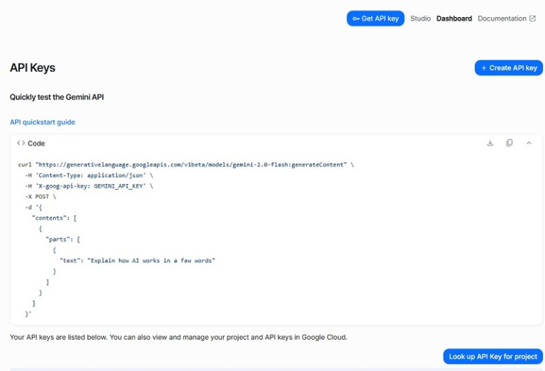 Gemini API Overview & How to Get a Free Gemini Key